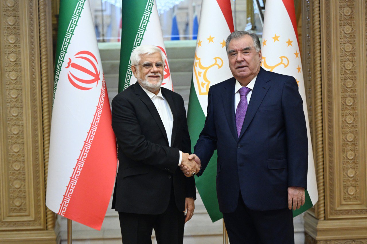 President of Tajikistan held a meeting with the First Vice President of ...