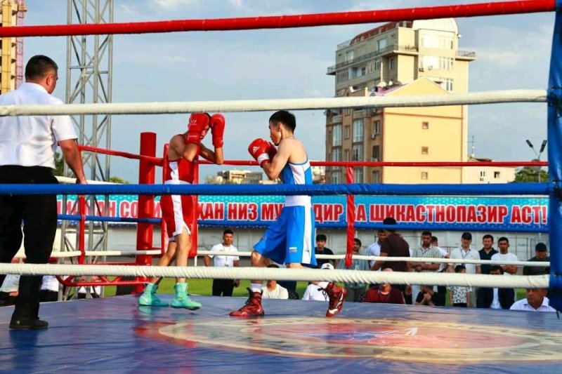 International boxing tournament among adults started in Khujand ...