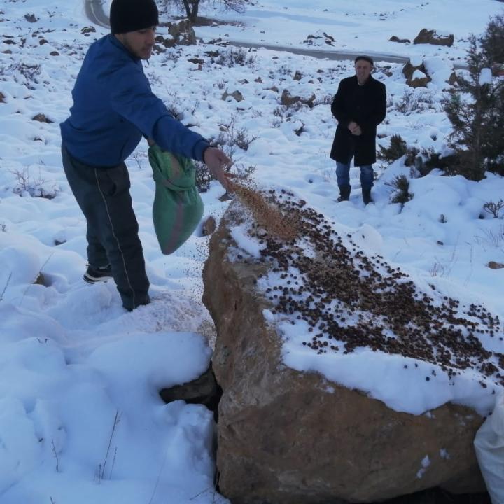 A food base for wild animals and birds has been established in the Vanj ...